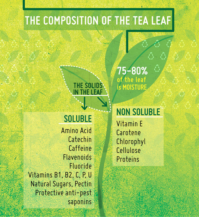 tea_leaf - Tea Stories - Still Steeping: Teabox Blog