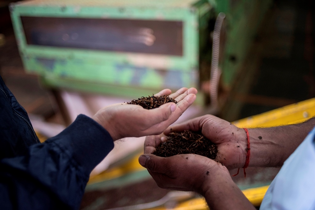 1_sorting - Tea Stories - Still Steeping: Teabox Blog