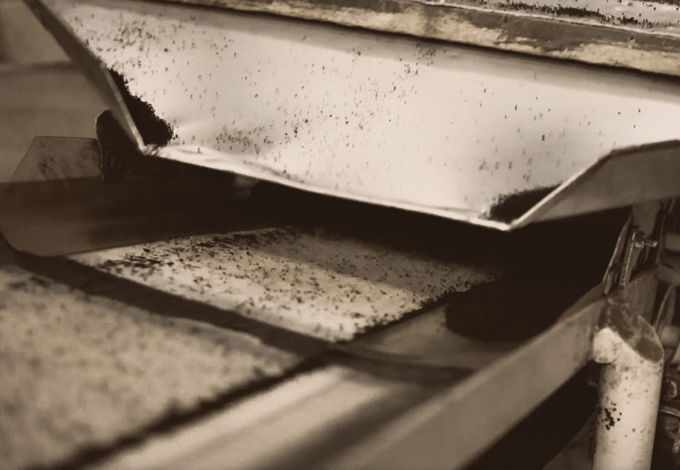 CTC Machine 2 teabox - Tea Stories - Still Steeping: Teabox Blog